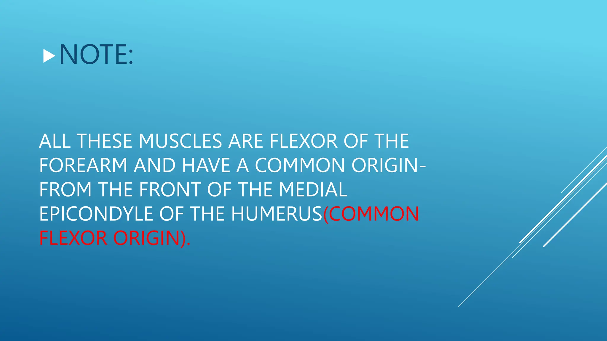 Flexor compartment of the forearm.pptx anatomy gross MBBS | PPTX