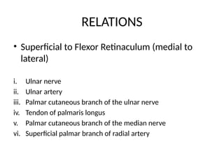 FLEXOR RETINACULUM by anivesh maurya.pptx