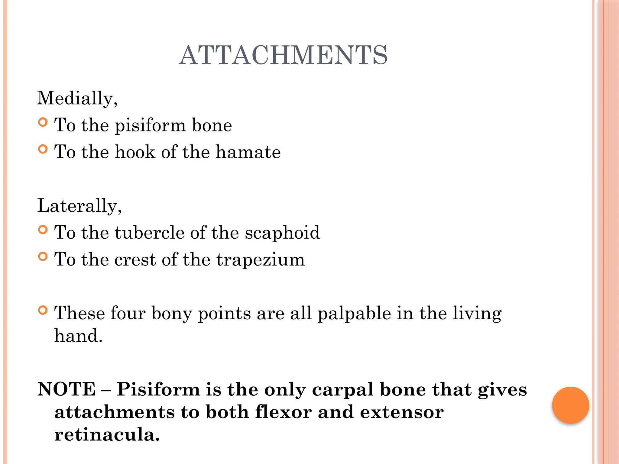 FLEXOR RETINACULUM Anatomy PPT FINAL.pptx