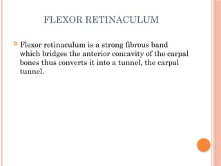 FLEXOR RETINACULUM Anatomy PPT FINAL.pptx