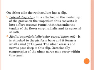FLEXOR RETINACULUM Anatomy PPT FINAL.pptx