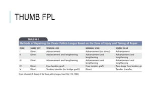 flexor tendon injury hand,flexor tendon injury hand | PPT