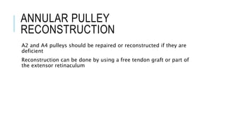 flexor tendon injury hand,flexor tendon injury hand | PPT