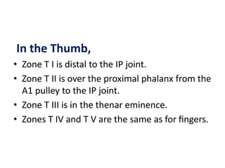 FLEXOR TENDON injury, fds,fdp,tendon injury | PPTX