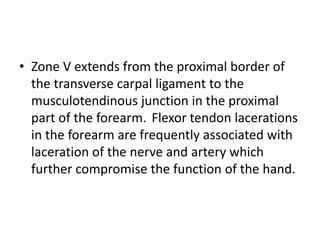 FLEXOR TENDON injury, fds,fdp,tendon injury | PPTX