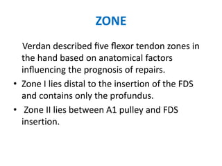 FLEXOR TENDON injury, fds,fdp,tendon injury | PPT