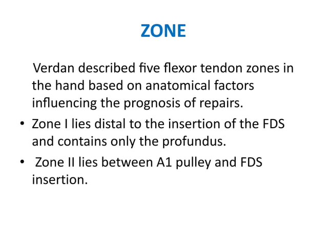 FLEXOR TENDON injury, fds,fdp,tendon injury | PPT