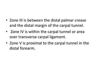 FLEXOR TENDON injury, fds,fdp,tendon injury | PPT