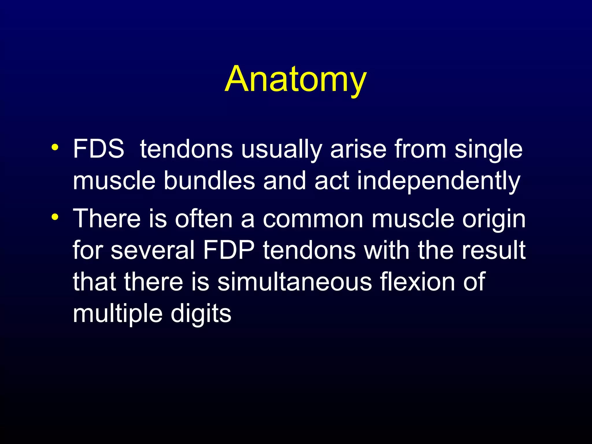 Flexor tendon injuries | PPT