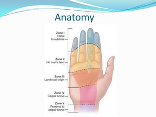 Flexor tendon injuries_UTSAV | PPTX