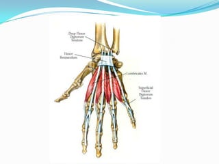 Flexor tendon injuries_UTSAV | PPT