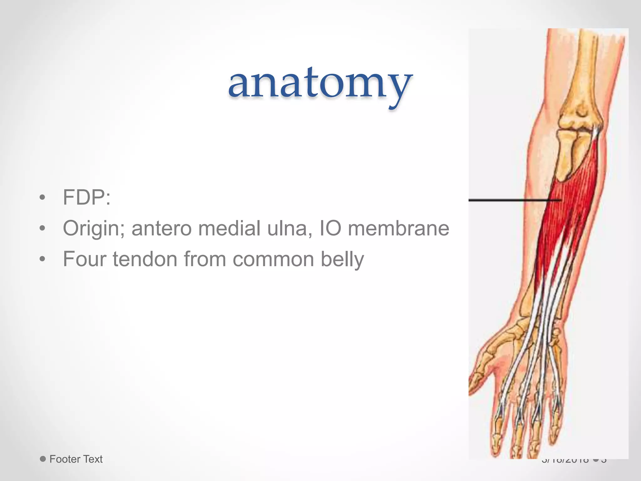 Flexor tendon injuries | PPTX