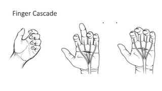Flexor tendon injuries | PPTX