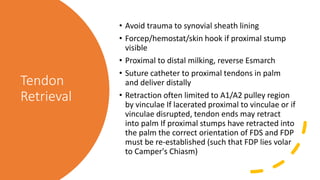 Flexor tendon injuries | PPTX