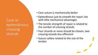 Flexor tendon injuries | PPTX