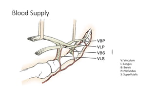 Flexor tendon injuries | PPTX