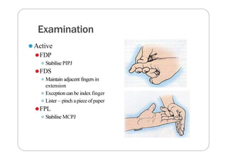 Flexor tendon injuries- basics for orthopedics residents | PPT