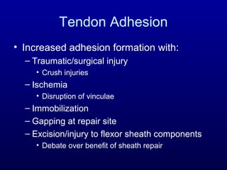 Flexortendoninjuries1 140504003542-phpapp01 | PPT