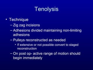 Flexortendoninjuries1 140504003542-phpapp01 | PPT