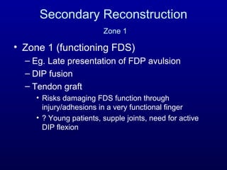 Flexor tendon injuries(1) | PPT