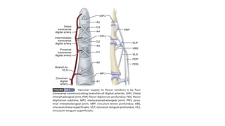 Flexor Tendon injuries and repair...pptx
