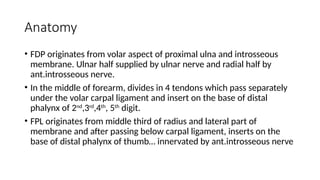 Flexor Tendon injuries and repair...pptx