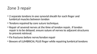 Flexor Tendon injuries and repair...pptx