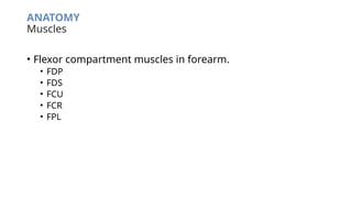 management of FLEXOR TENDON INJURIES HAND.PPTX