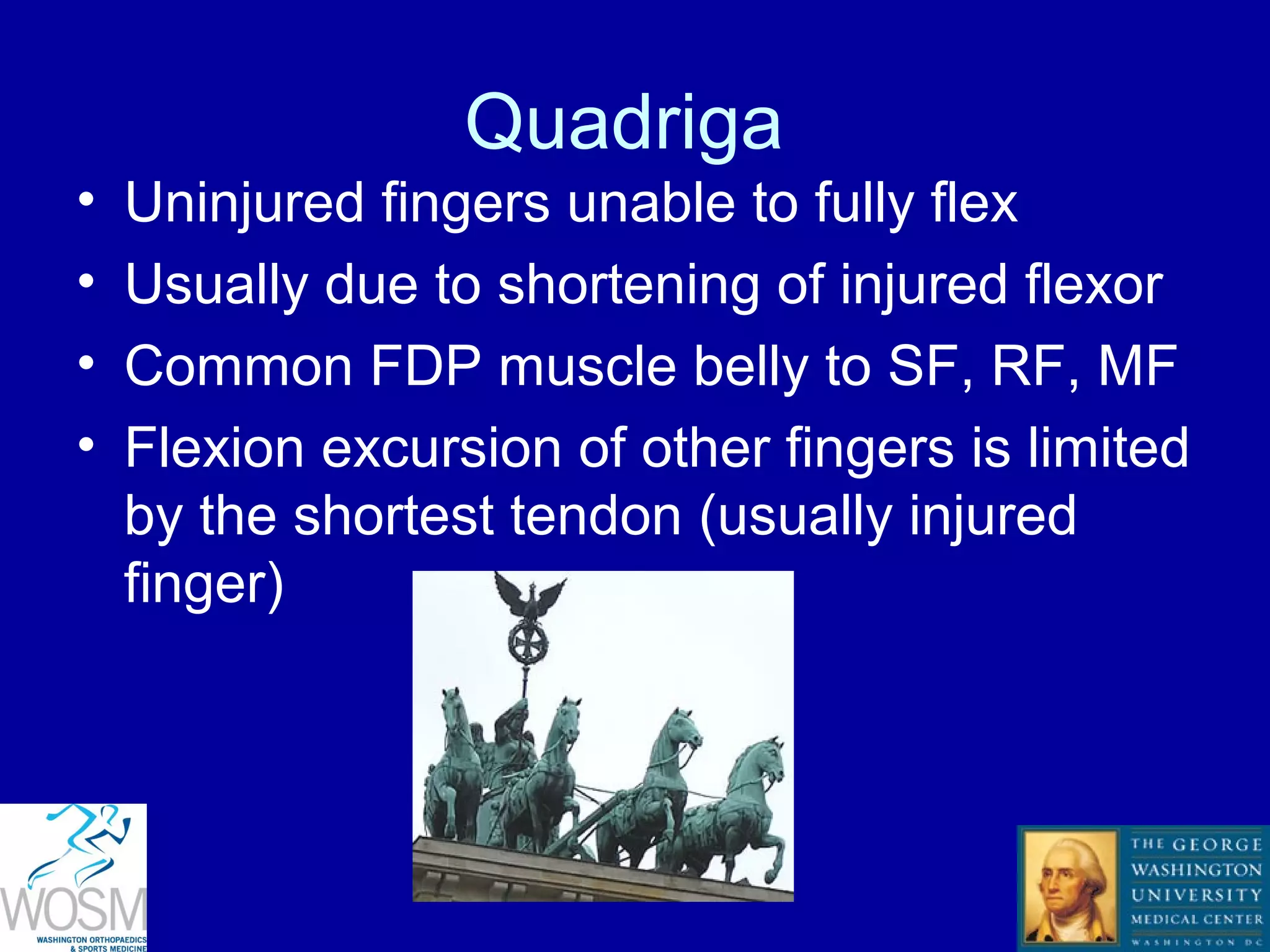 Flexor tendon injuries of the hand | PPT