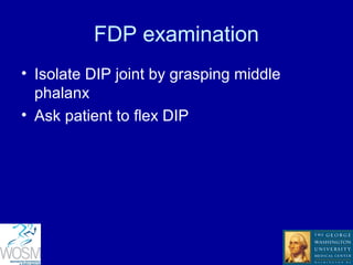 Flexor tendon injuries of the hand | PPT