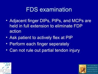 Flexor tendon injuries of the hand | PPT