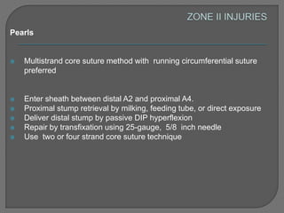Flexor tendon injury | PPTX