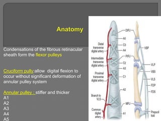 Flexor tendon injury | PPTX