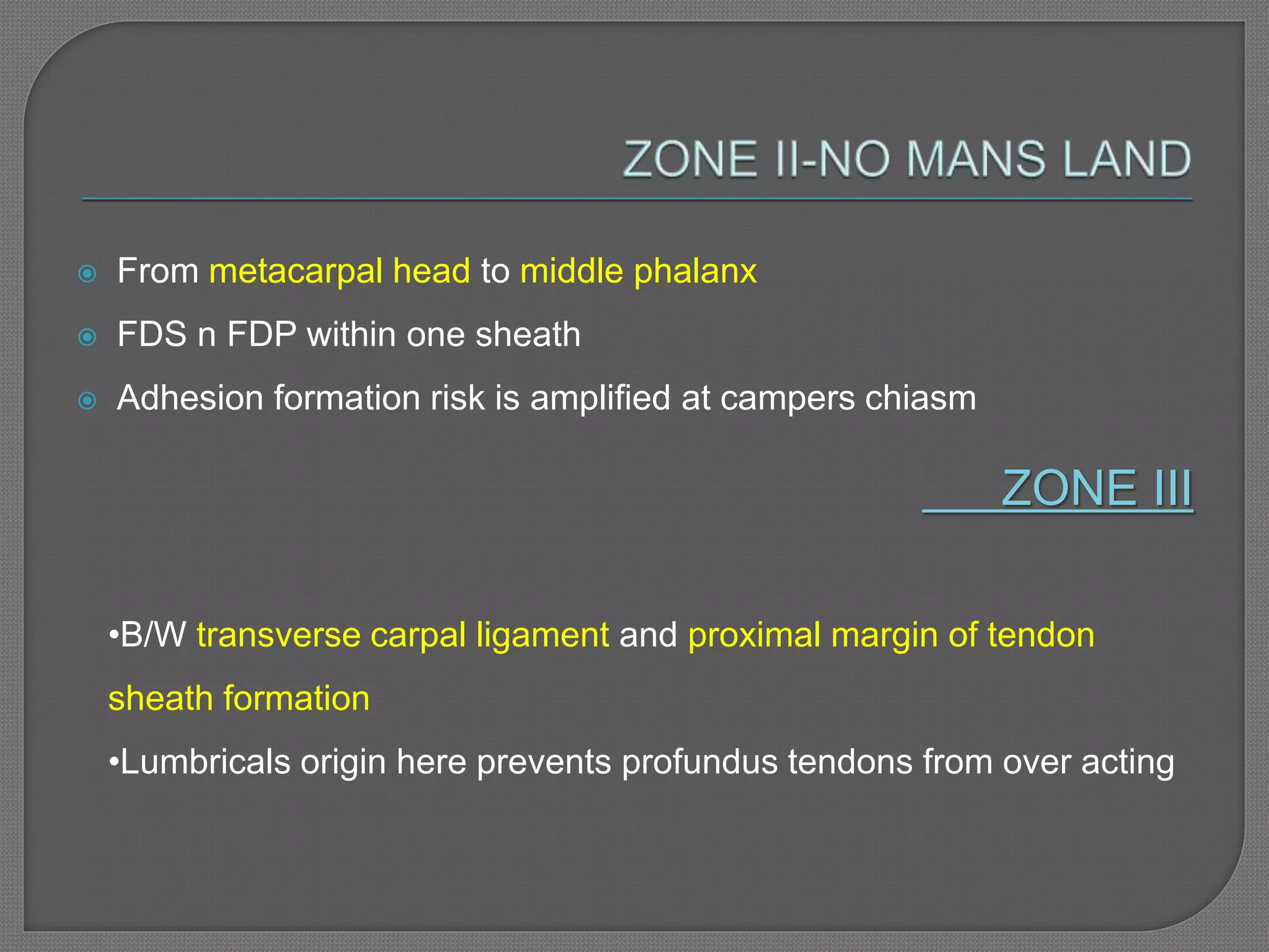 Flexor tendon injury | PPTX