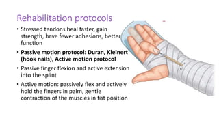 Flexor tendon injury | PPT