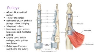 Flexor tendon injury | PPTX