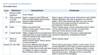 Flexor Tendon Injury.pptx