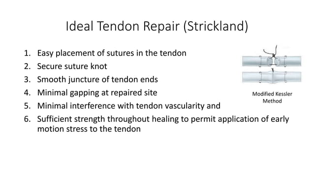 Flexor Tendon Injury.pptx