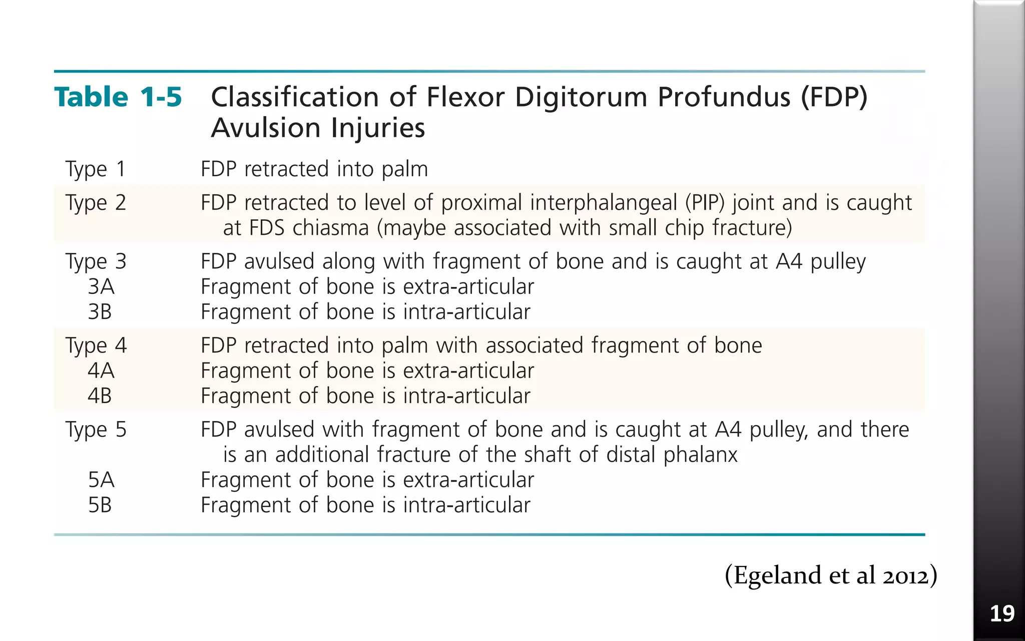 Flexor Tendon Injury | PDF