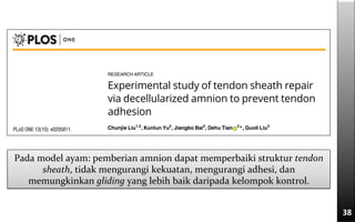 Flexor Tendon Injury | PDF