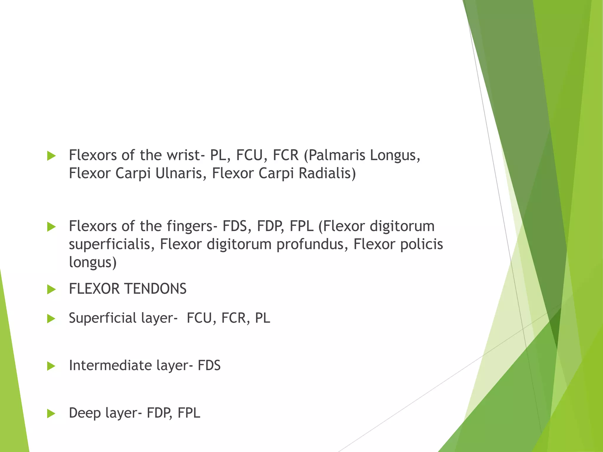 Flexor tendon injury final edit with pictures | PPTX