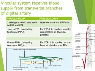 Flexor tendon injury final edit with pictures | PPTX