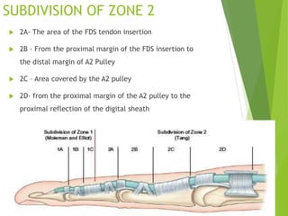 Flexor tendon injury final edit with pictures | PPTX