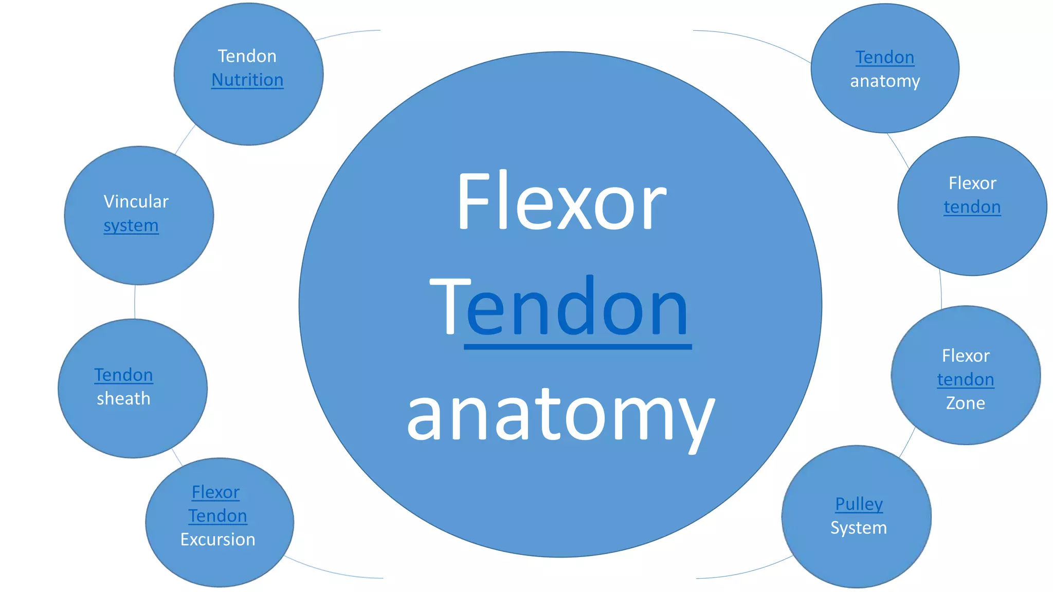 Flexor tendon injury, management and rehabilitation | PPTX
