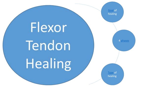 Flexor tendon injury, management and rehabilitation | PPTX | Death ...