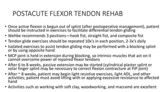 Flexor tendon injury, management and rehabilitation | PPTX