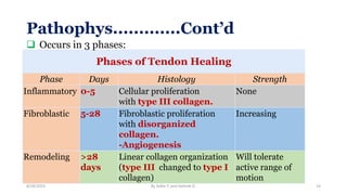 Flexor Tendon Injury SKY.pdf