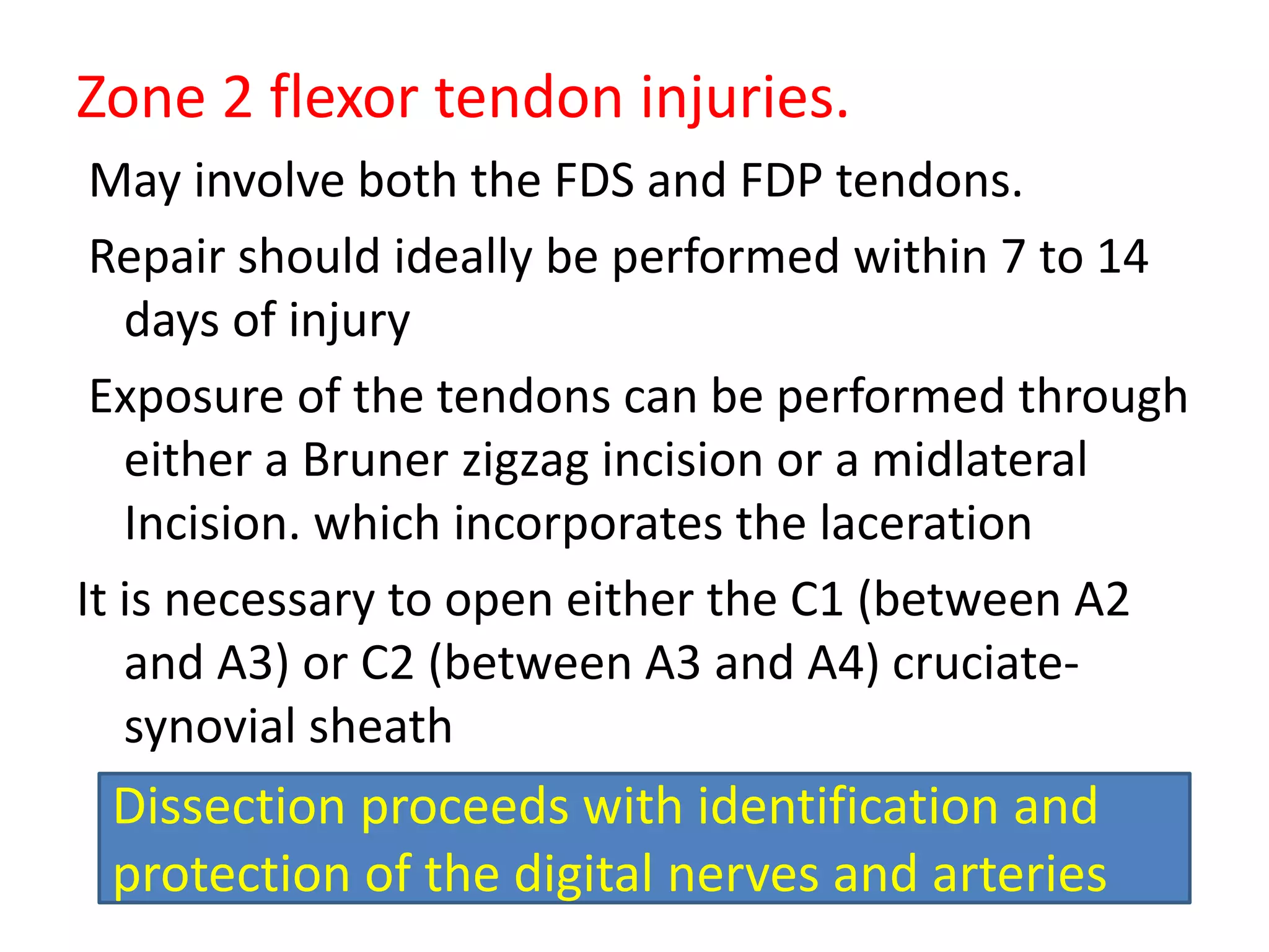 Flexor tendon repair | PPTX