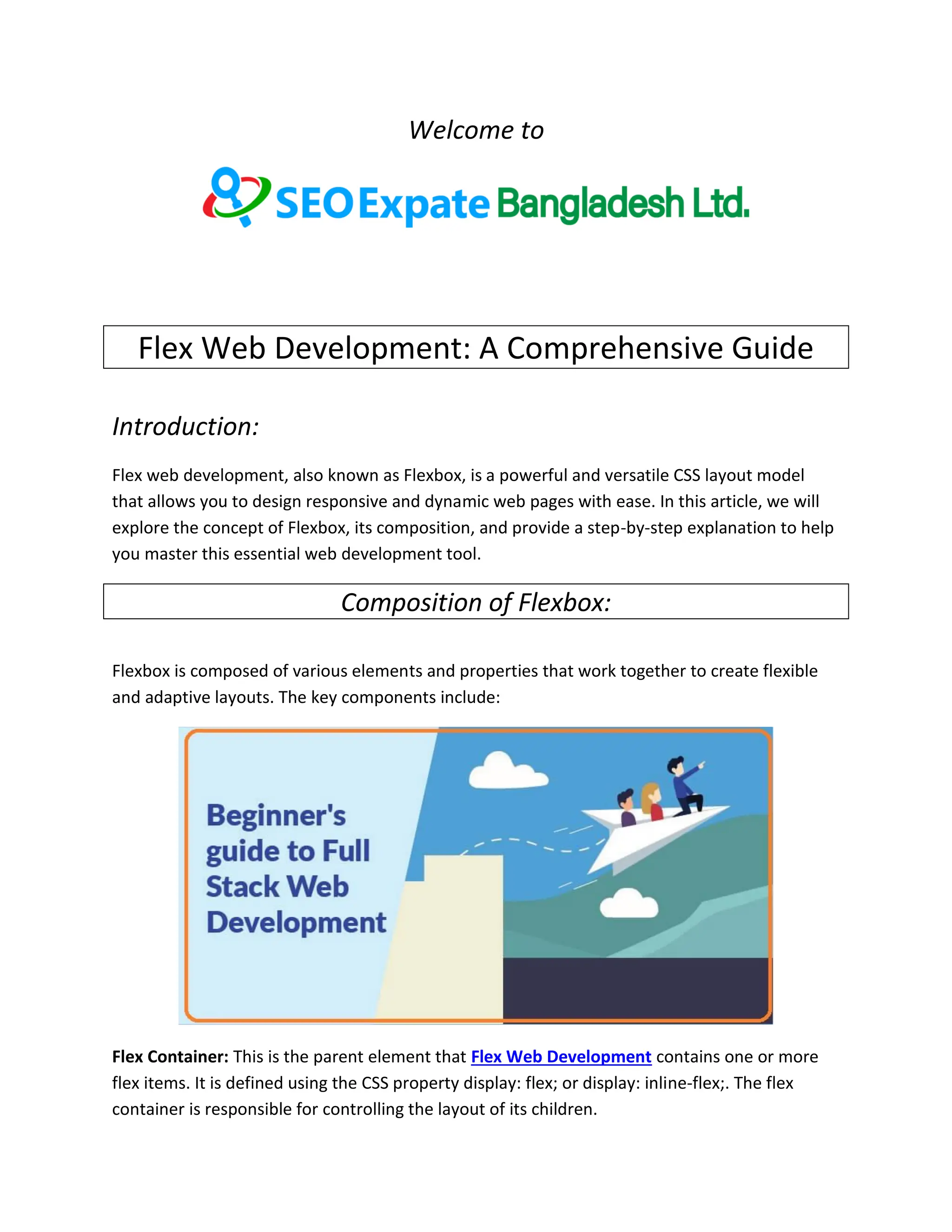 Flex Web Development.pdf