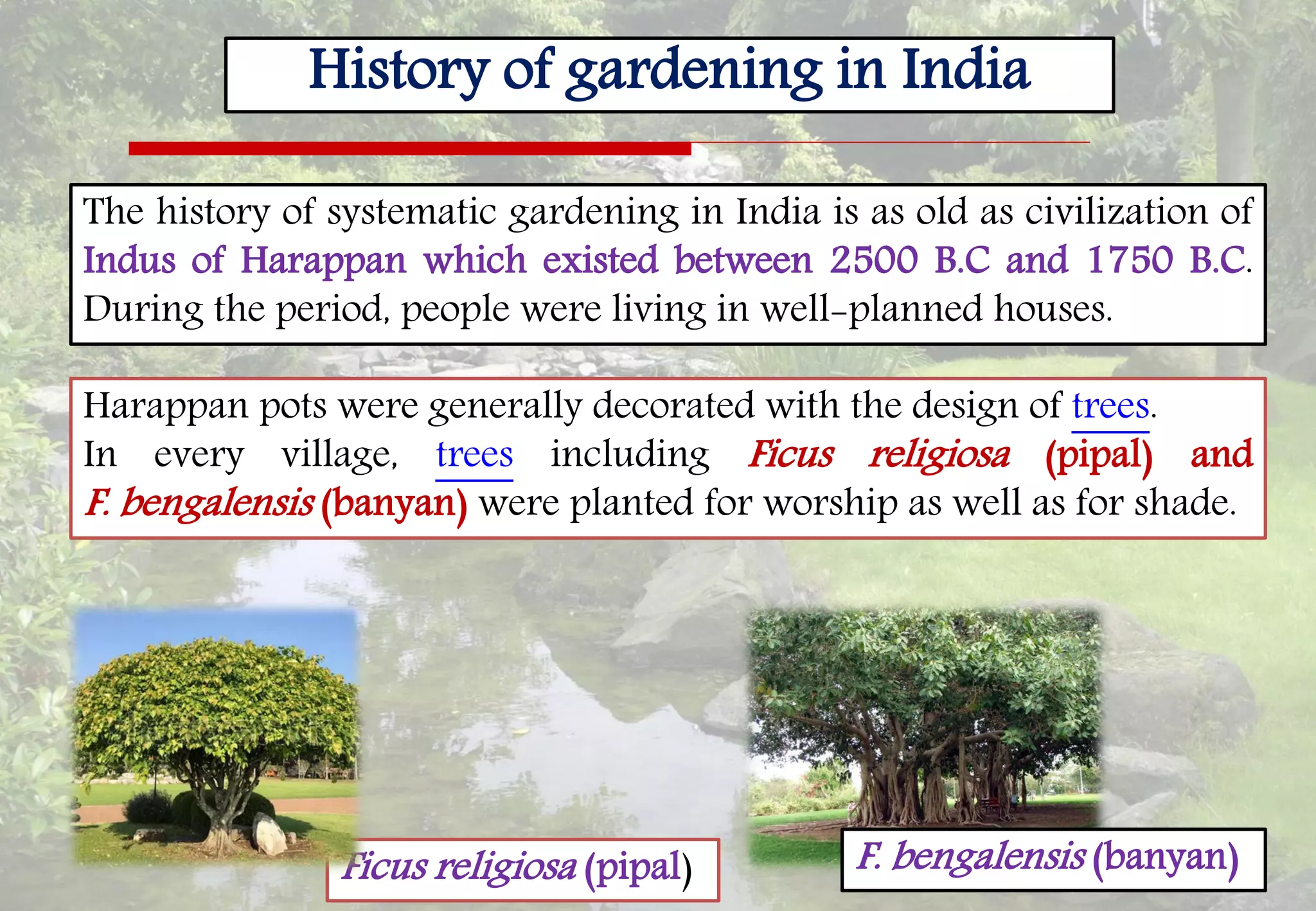 history, scope and importance of gardening, aesthetic values and ...